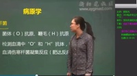 传染病·性病 乙型脑炎·钩端螺旋体病