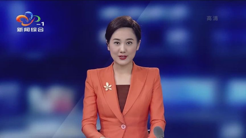 武汉市政府常务会议研究燃气安全管理工作