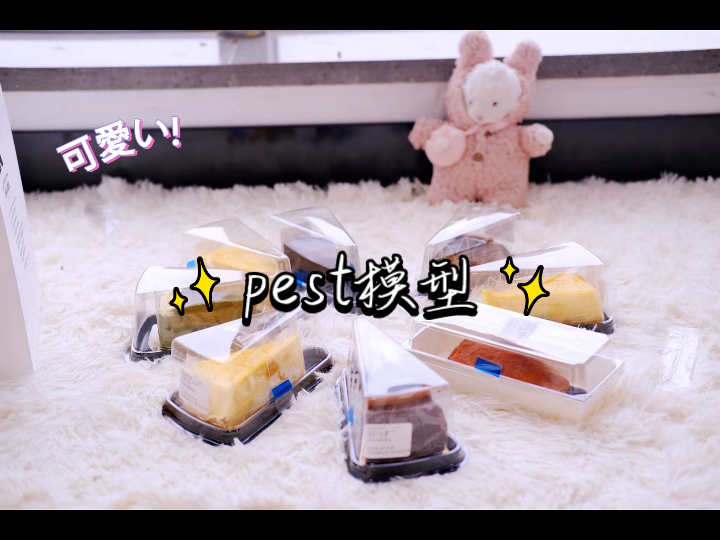 【CPA知识分享】CPA公战-pest模型