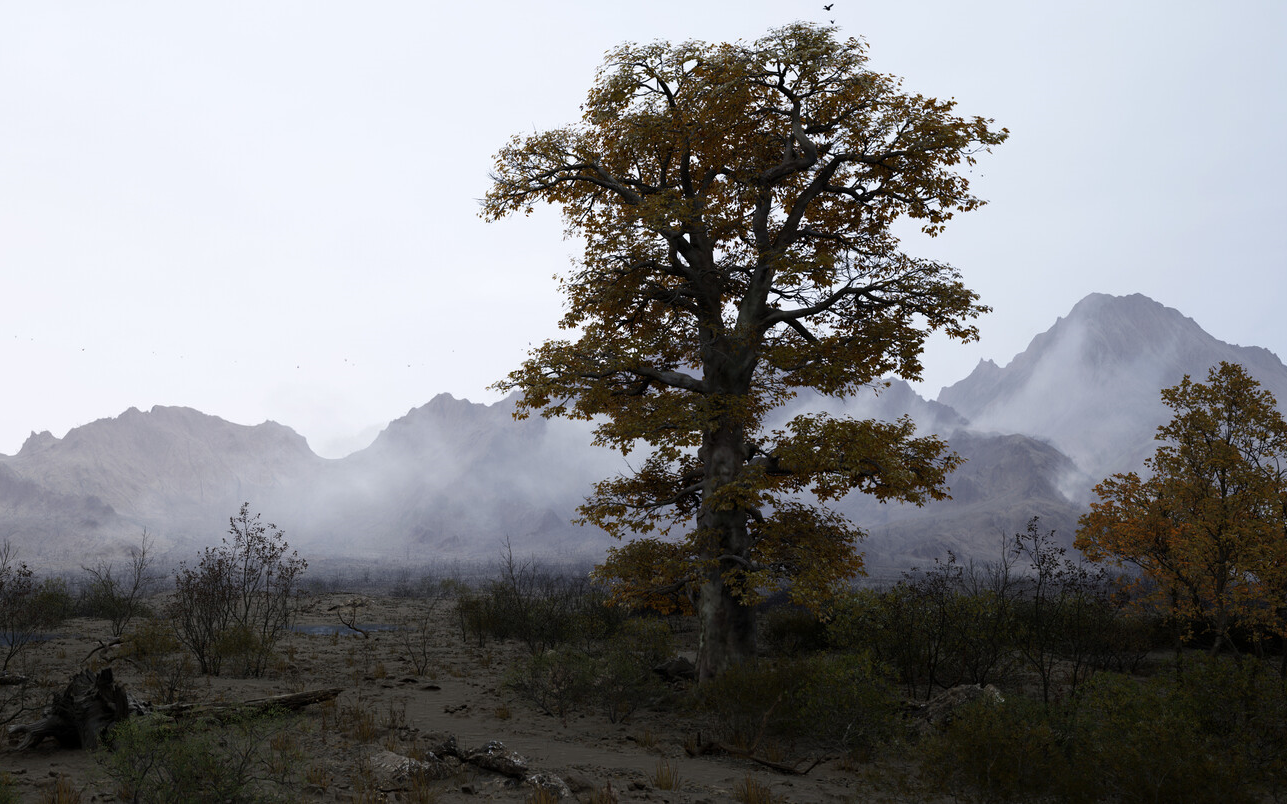 SpeedTree10.0扫盲教学