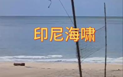 20年前的印尼海啸,如今看上去还是吓人