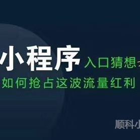 顺科小程序开发 