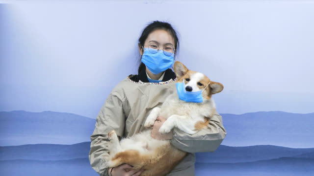 不要再丢猫丢狗了!宠物家庭消毒注意事项!