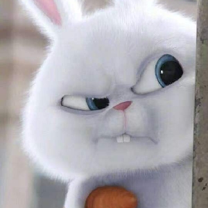 分享编程资料的大白兔 