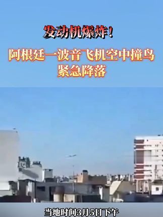 发动机爆炸! 阿根廷一波音飞机空中撞鸟 紧急降落