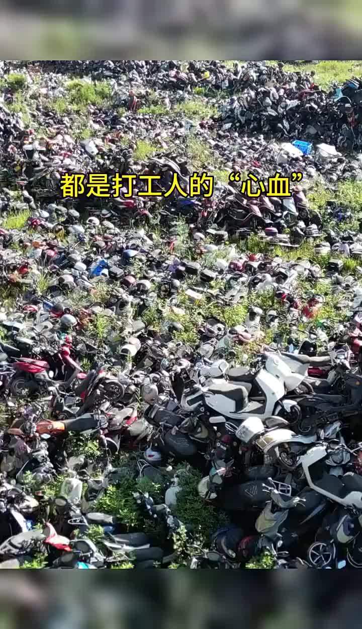 你以为这是满山的垃圾,其实全是电动车