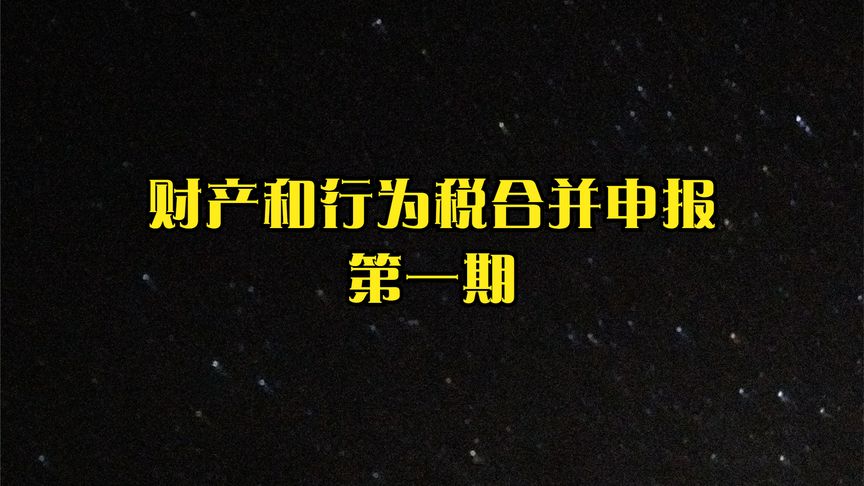 财产和行为税合并申报第一期