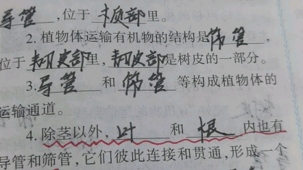 北师大版七年级上册第三单元第五章运输作用练习册57-59