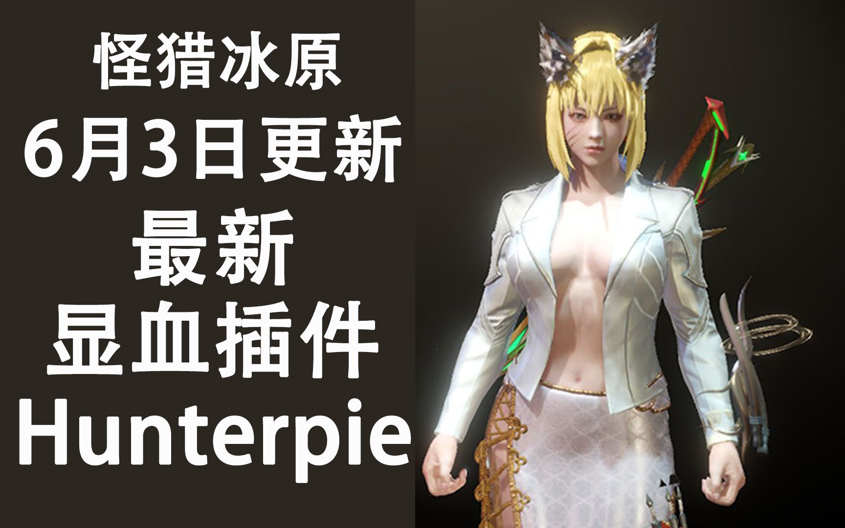 【皮皮轩】怪猎冰原 6月3日最新显血插件hunterpie_怪物猎人_教学