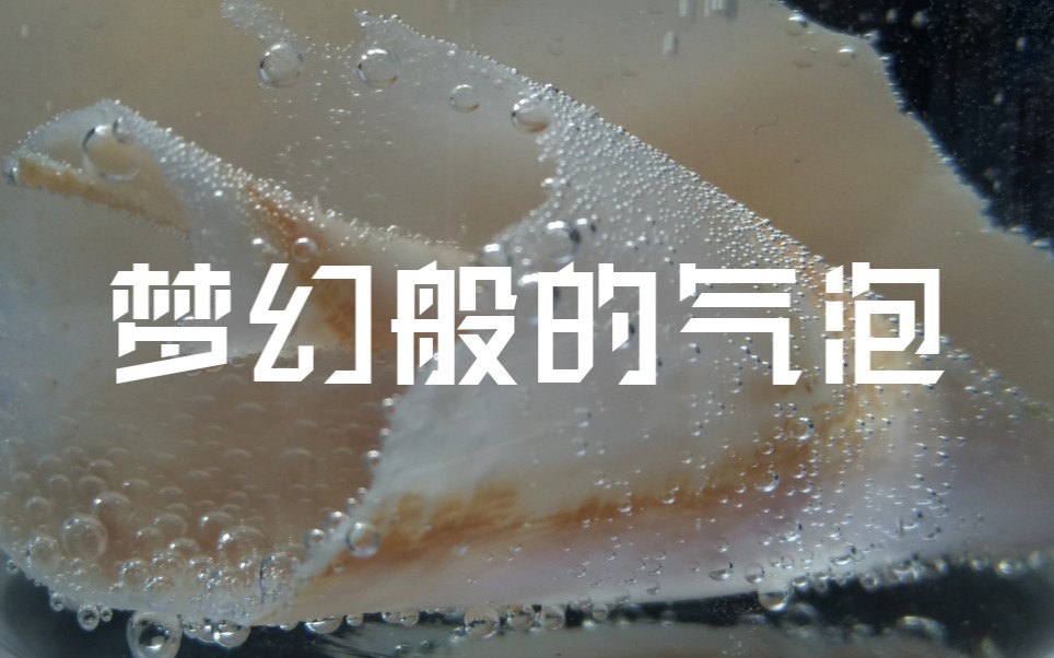 梦幻般的气泡:二氧化碳与氢气