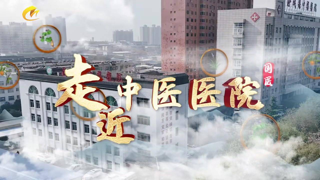 走进中医医院:澄城县中医医院开展2025年"百市千县"中医药文化夜市...