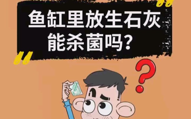 化学与生活—生石灰的奇妙作用～