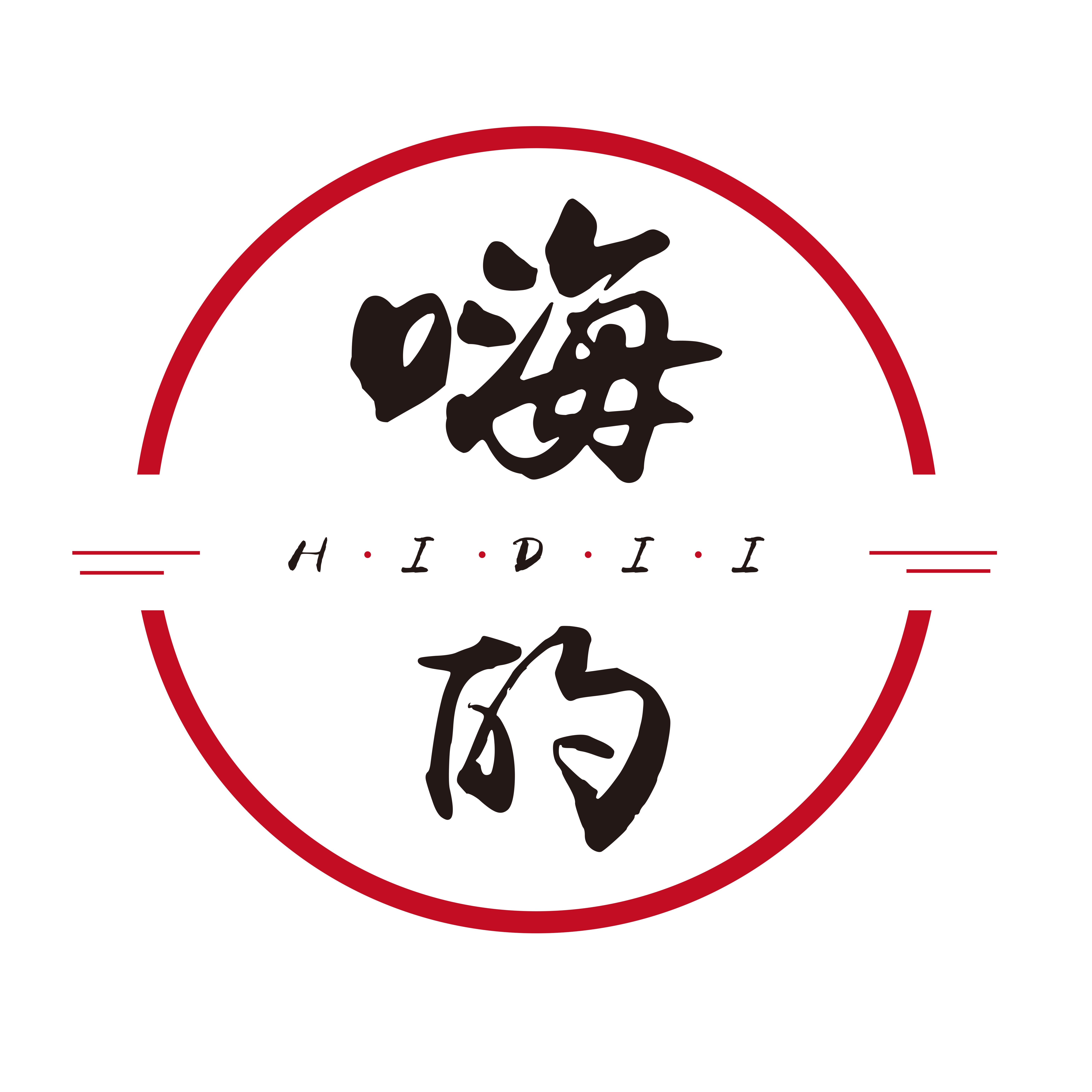 嗨的HiDii国乐团 