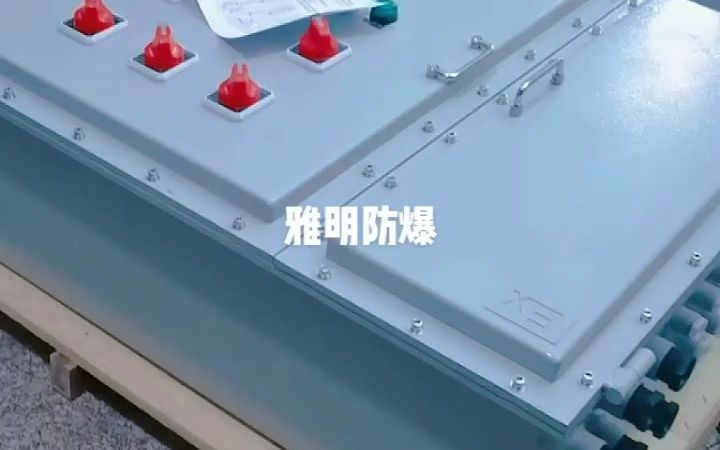 碳钢焊接防爆控制箱 防腐防粉尘防爆现场控制柜仪表配电箱
