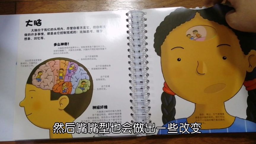 【绘本分享】宝宝:我是怎么出生的?爸妈不要尴尬了,看这里。