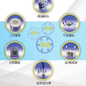 原位表征环境 