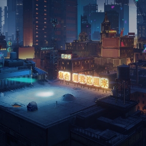 李lsr 