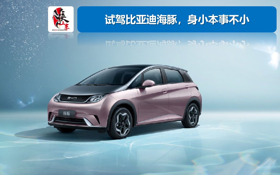 试驾比亚迪海豚,身小本事不小
