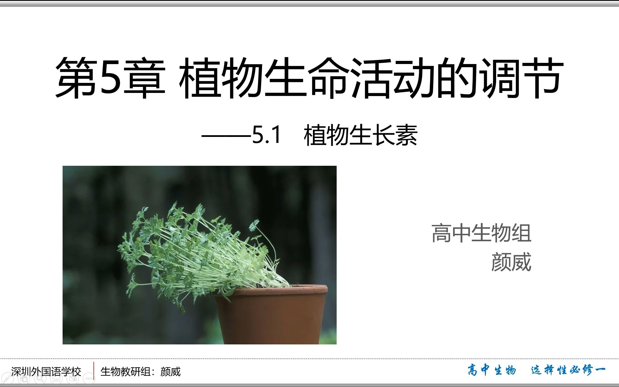 【人教版高中生物选择性必修一】5.1.1植物生长素,生长素的发现历程,...