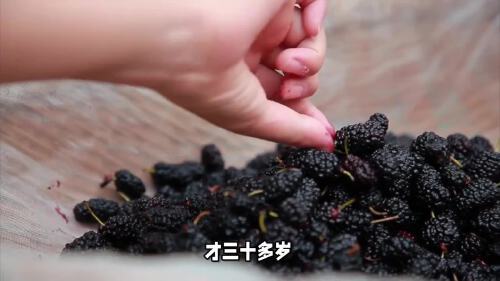 桑葚干别乱吃!五大惊人功效与三大禁忌,吃错反伤身