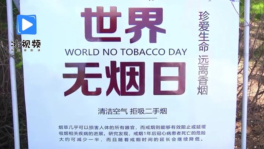 “5.31世界无烟日”宣传活动 发布我市控烟情况