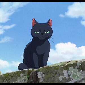 喜爱文学的理工生 