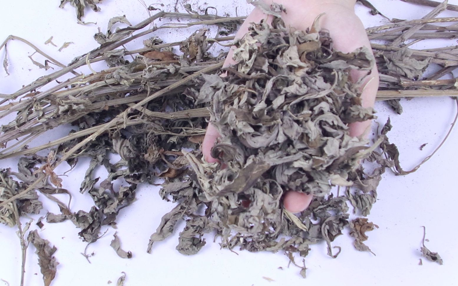 你家有晒干的艾草吗?我也才知道,原来放家里还有5个很棒的用途