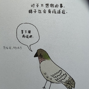 大花不咕咕 