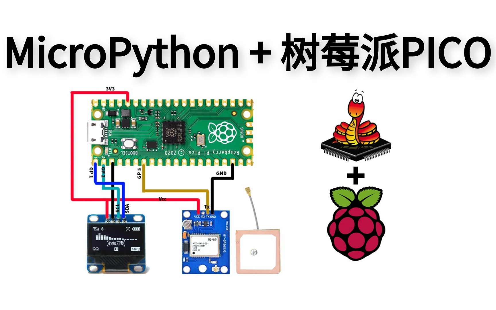 树莓派PICO 安装 MicroPython