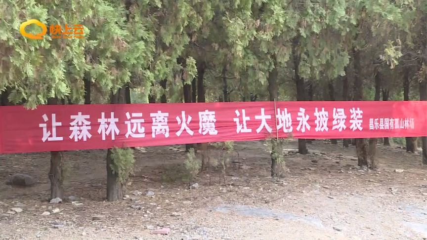 严把森林防火关 筑牢安全“防火墙”