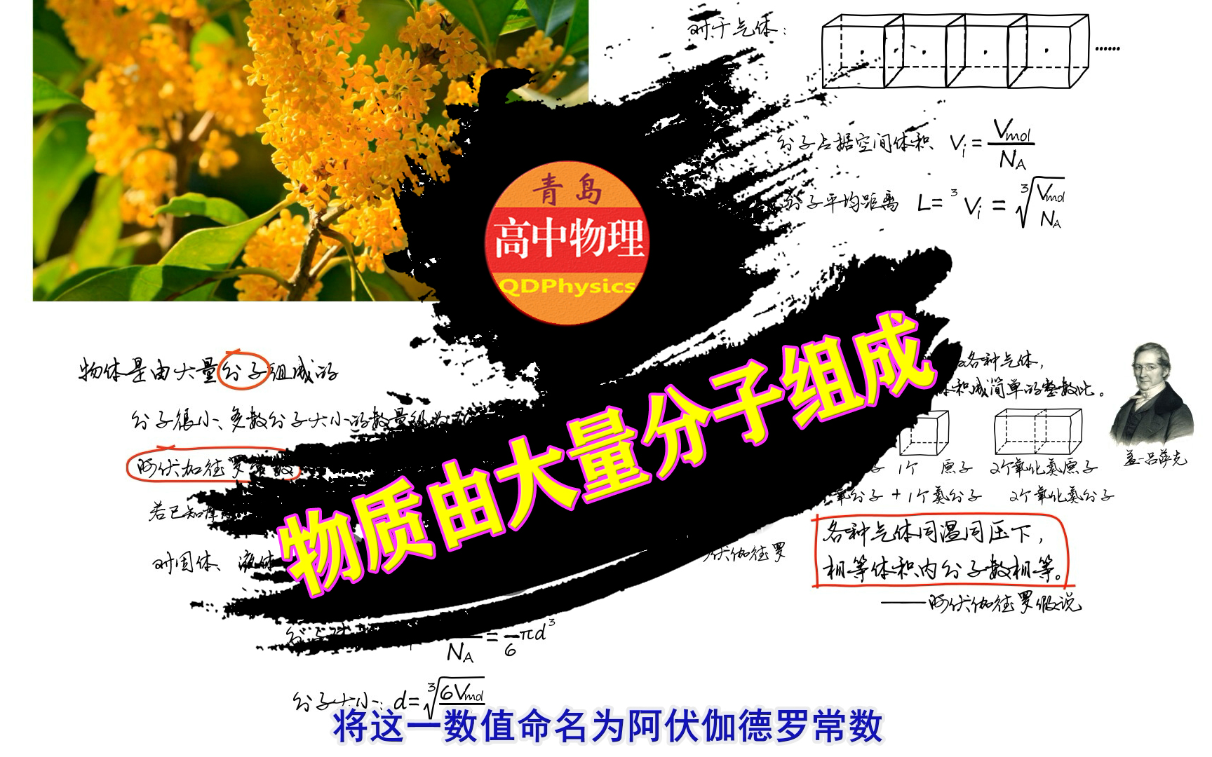 022物质是由分子组成