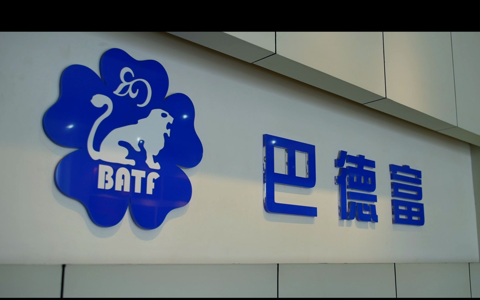 巴德富-企业宣传视频