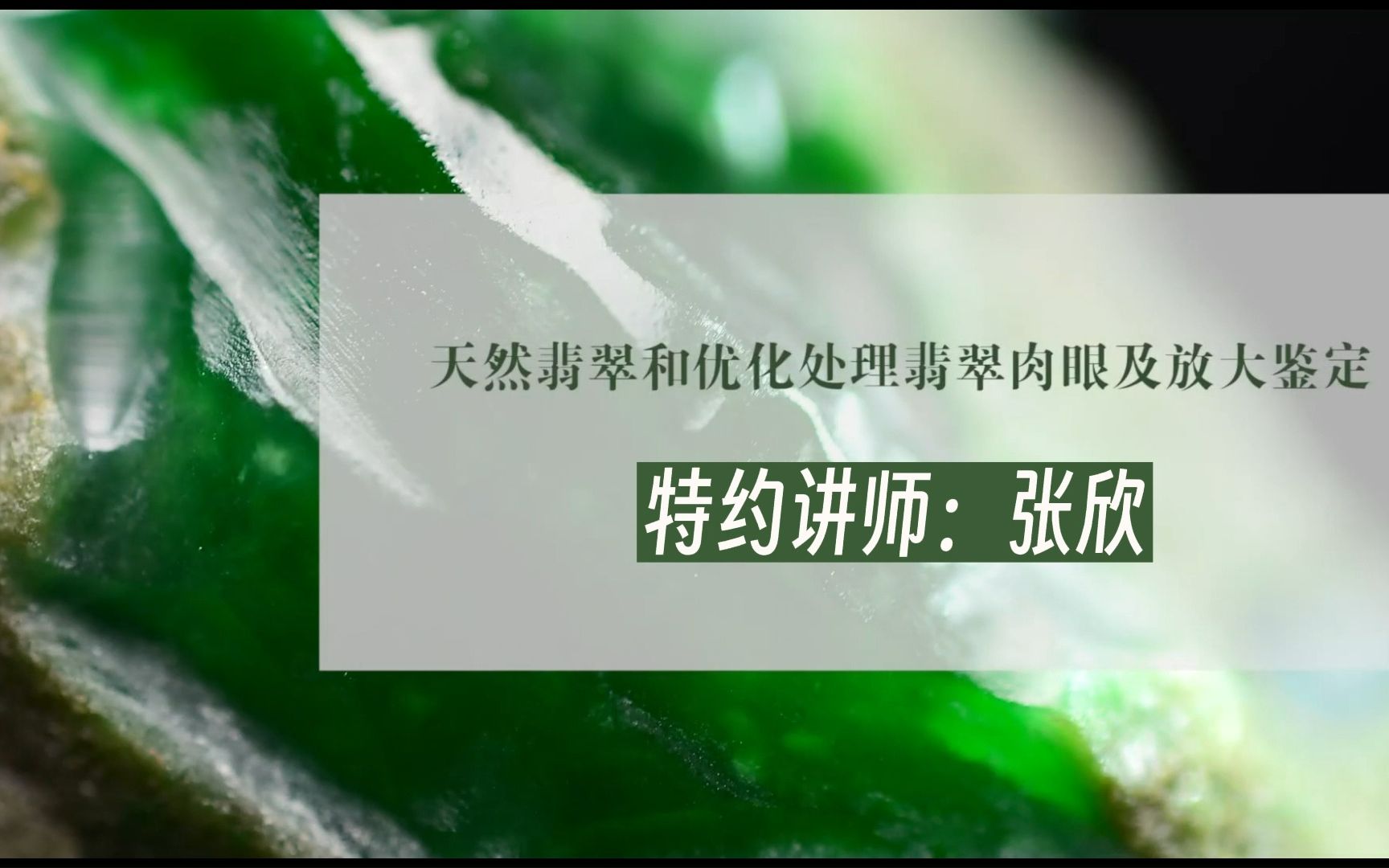 23.天然翡翠与优化处理翡翠肉眼及放大鉴定特征