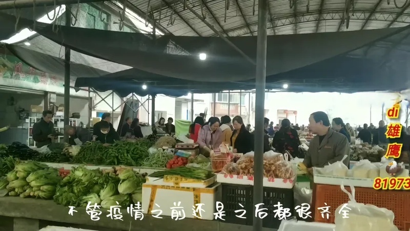 疫情结束了北漂大哥今天赶集,准备买的生活用品,街上有什么变化