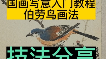国画写意入门教程,最小猛禽,伯劳鸟画法