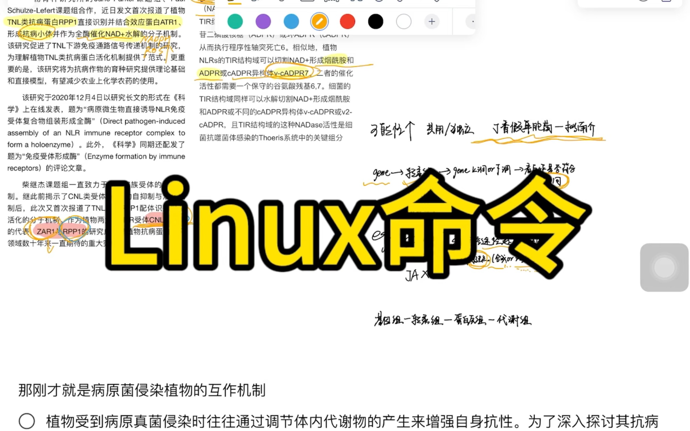 Linux操作命令