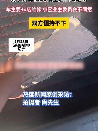 男子开车被30楼坠落石头砸伤,车主要4s店维修 小区业主委员会不同意,...