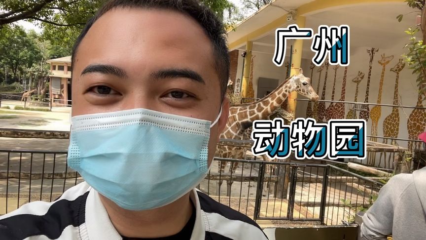 各种各样的动物,看的眼睛都花了,花20元看一整天真值!