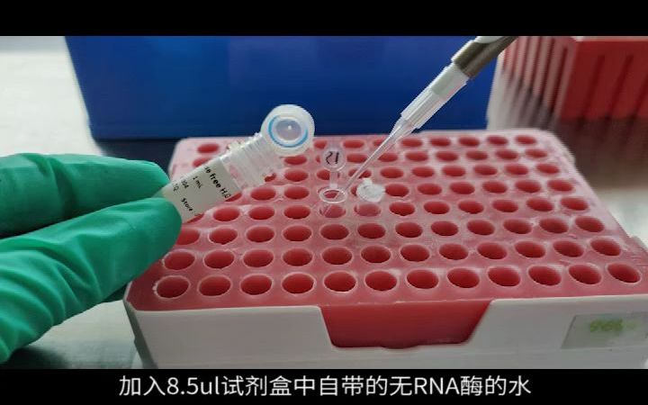 思科捷逆转录实验操作视频【AG0304】