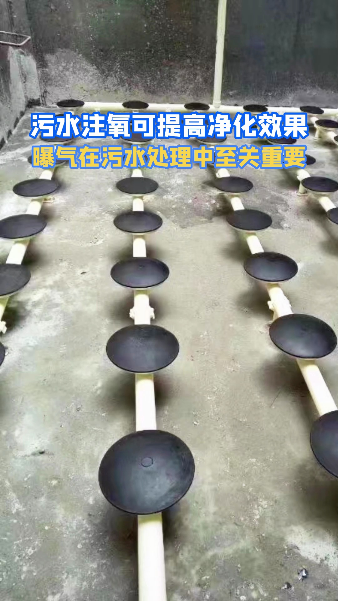 曝气器在污水处理时发挥着什么样的作用呢?