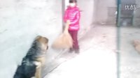 d:\我的文档\新建文件夹 (3)\20130203001