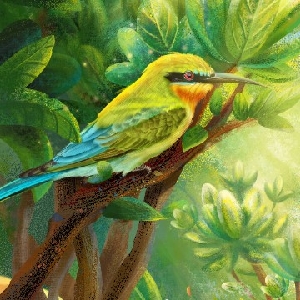 记忆化海为谁留白 