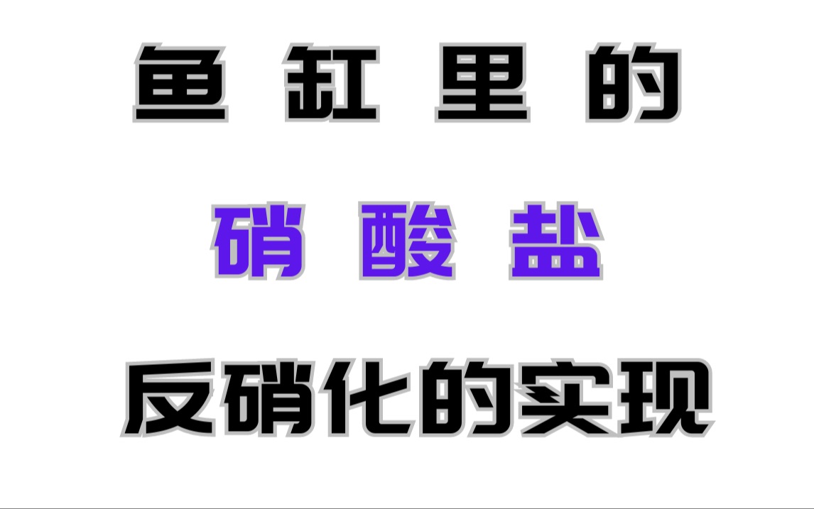 鱼缸里实现反硝化的三项要点