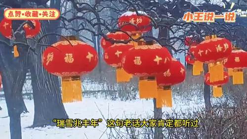 2026年春节天气怎么样是冷是暖提前知