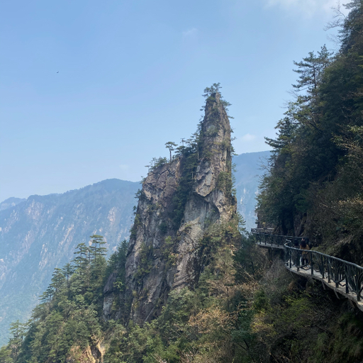 龙哥旅行 