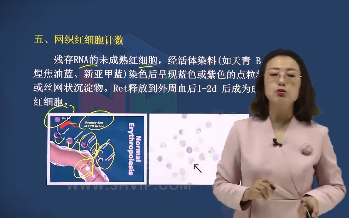 ...技术基础检验技术高级职称考试-冲刺课:网织红细胞计数一山河医学网
