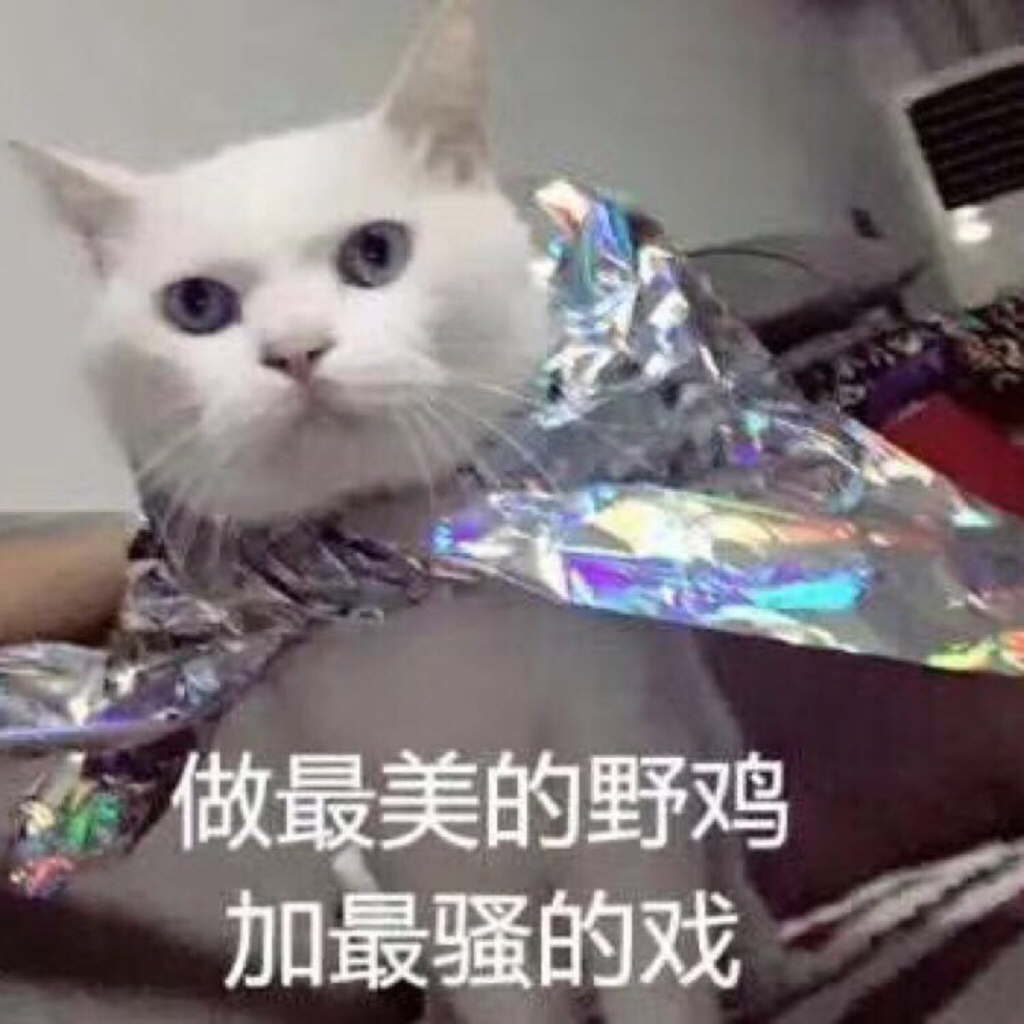 是奈奈的丝丝 