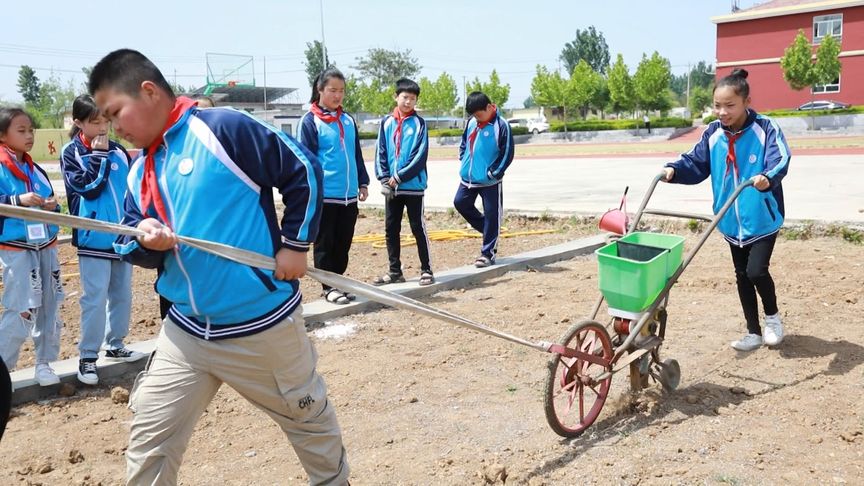别开生面!枣庄峄城这所学校劳动教育课搬到了田间地头