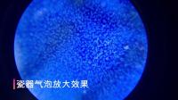 拜斯特放大镜50倍6led带灯调焦手机刻度读数测量德显微镜国鉴定珠宝...