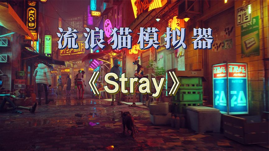 非常好玩的流浪猫模拟器《Stray》